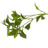 Primrue Rona Tree-Rona Tree-9.5' | Wayfair