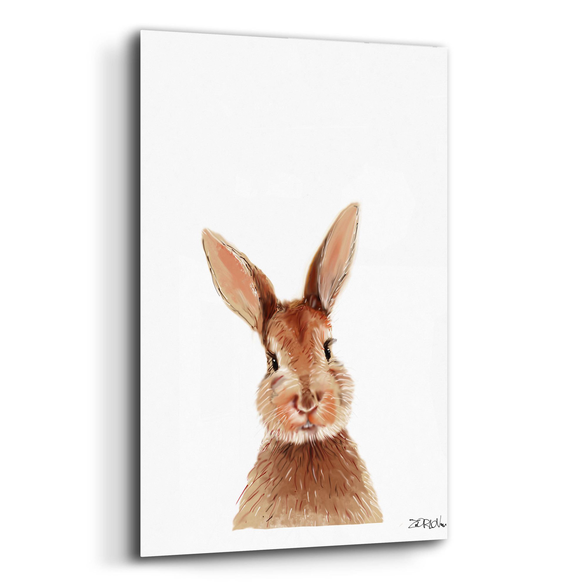 Harper Orchard Loon Peak® 'Rabbit' By Irena Orlov, Acrylic Glass Wall ...