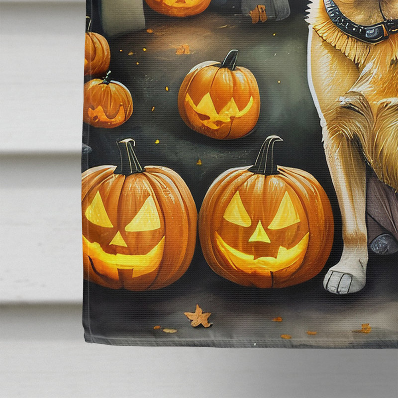 Caroline's Treasures Double Sided 40'' H x 28'' W Polyester Halloween ...