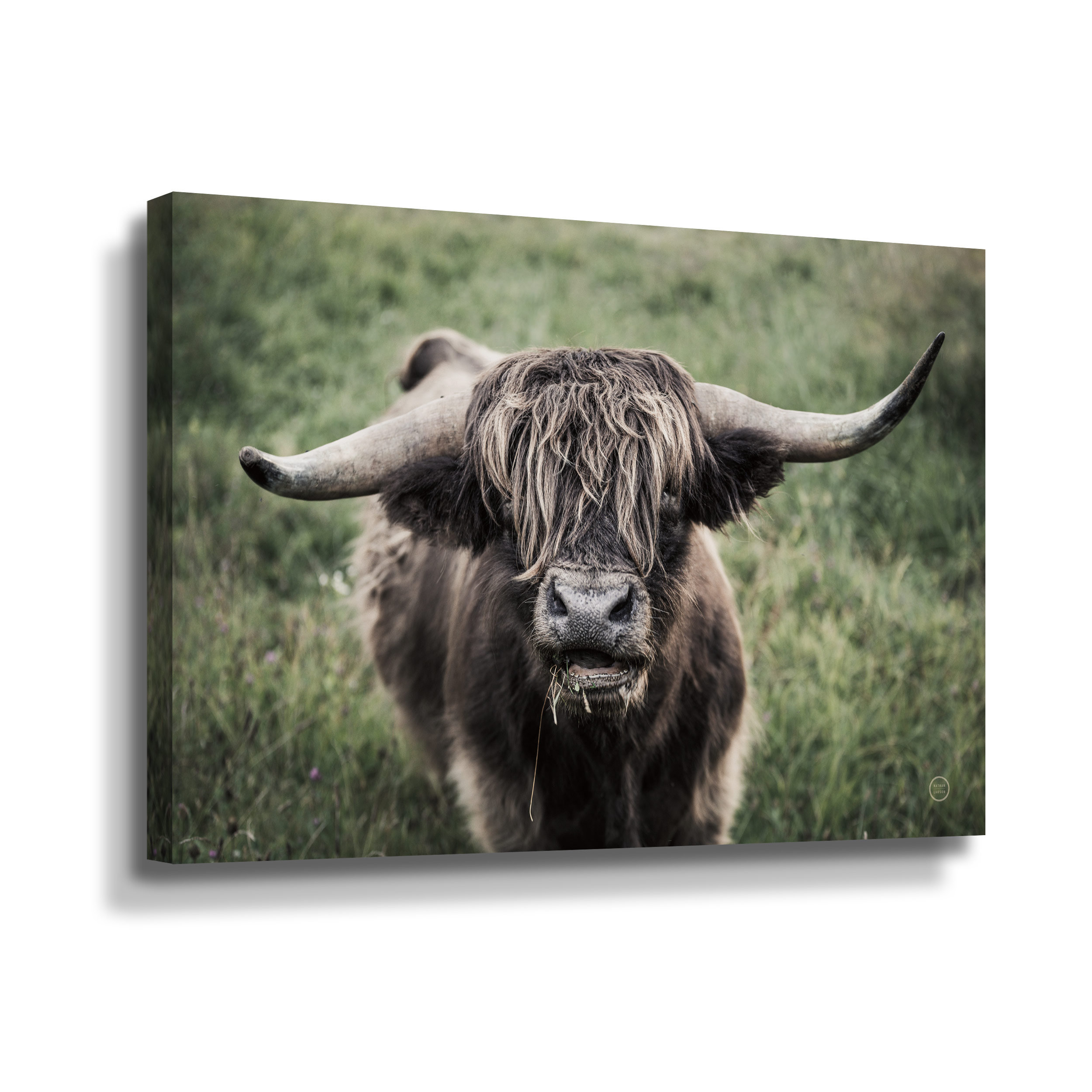 Wayfair.com - Online Home Store for Furniture, Decor, Outdoors & More