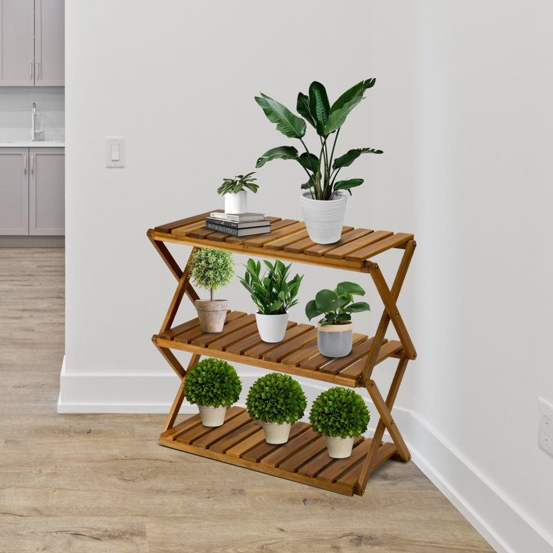 Millwood Pines Reculver Foldable Plant Stand | Wayfair