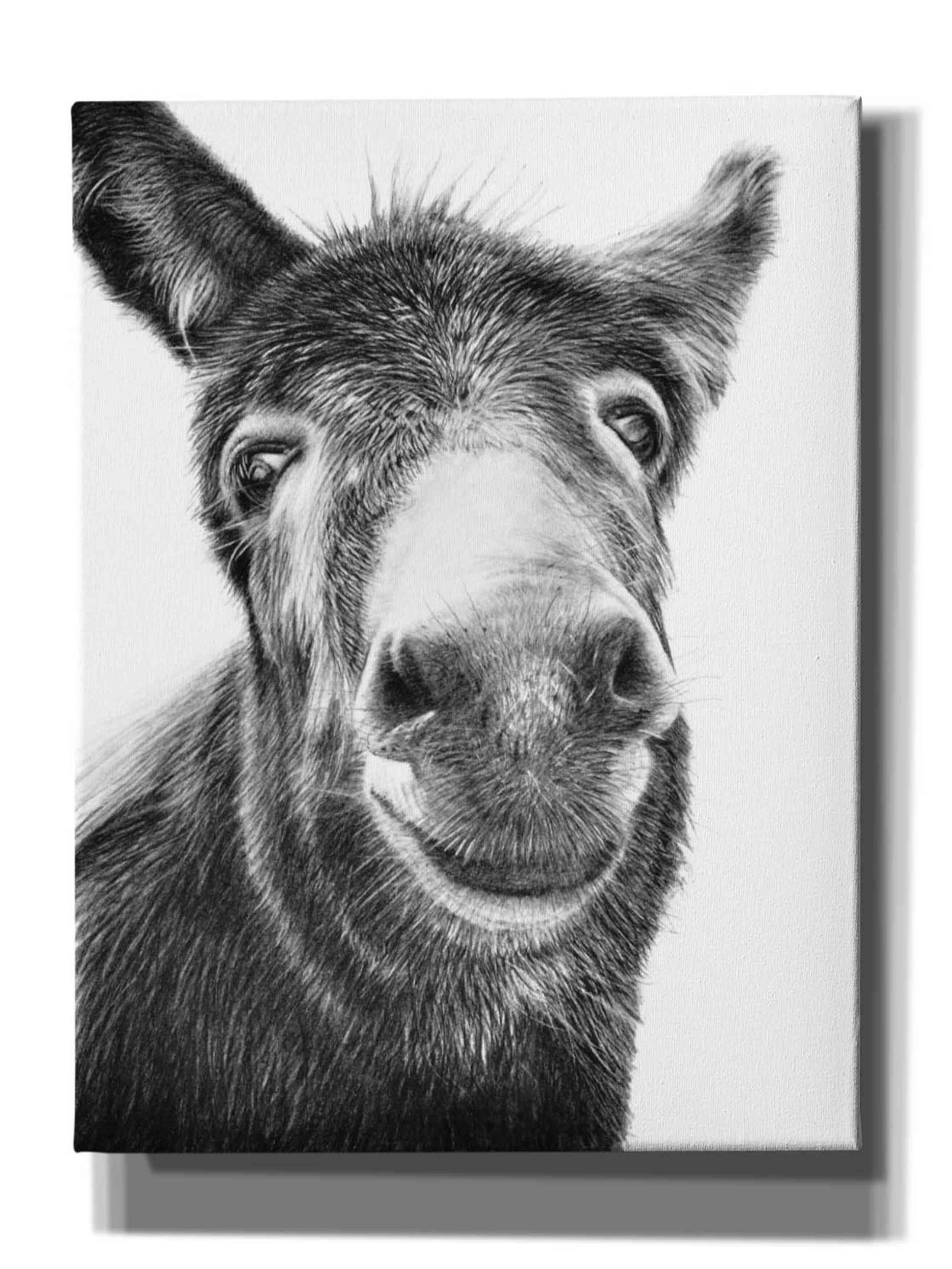 Latitude Run® 'Hazel' By Sam Dolman, Canvas Wall Art - Wayfair Canada