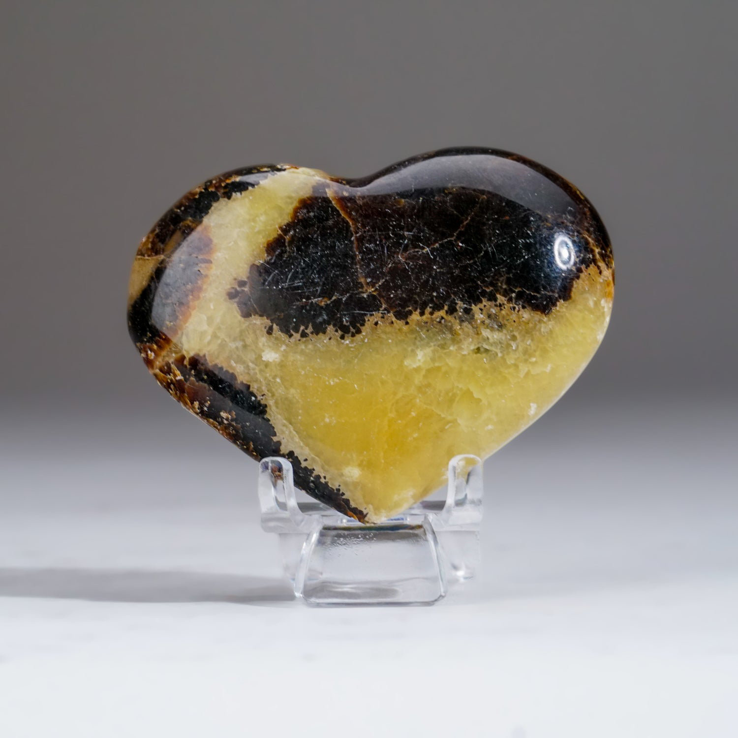 Astro Gallery of Gems Genuine Polished Septarian Heart from Mexico (0. ...