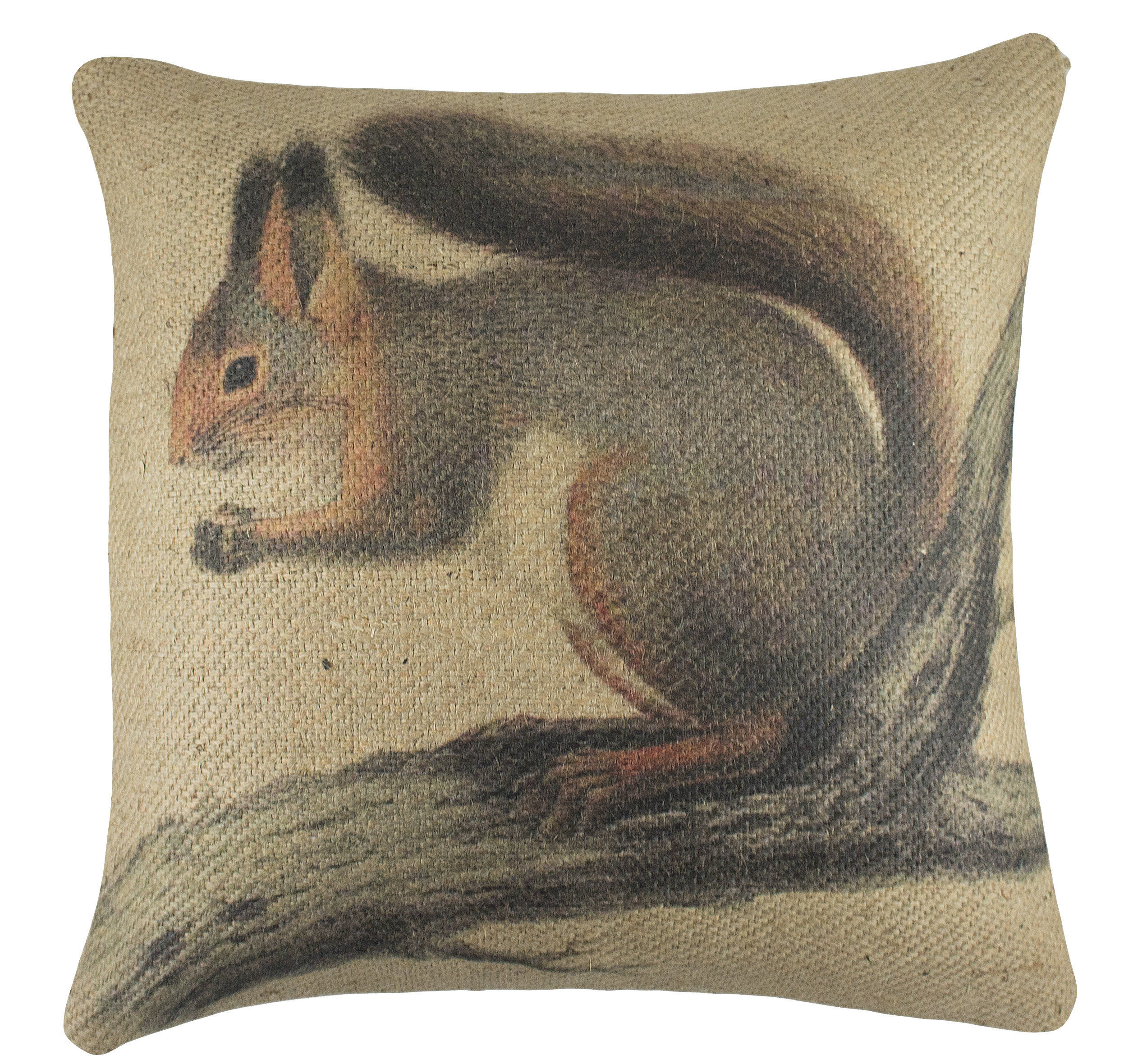 TheWatsonShop Squirrel Throw Pillow | Wayfair