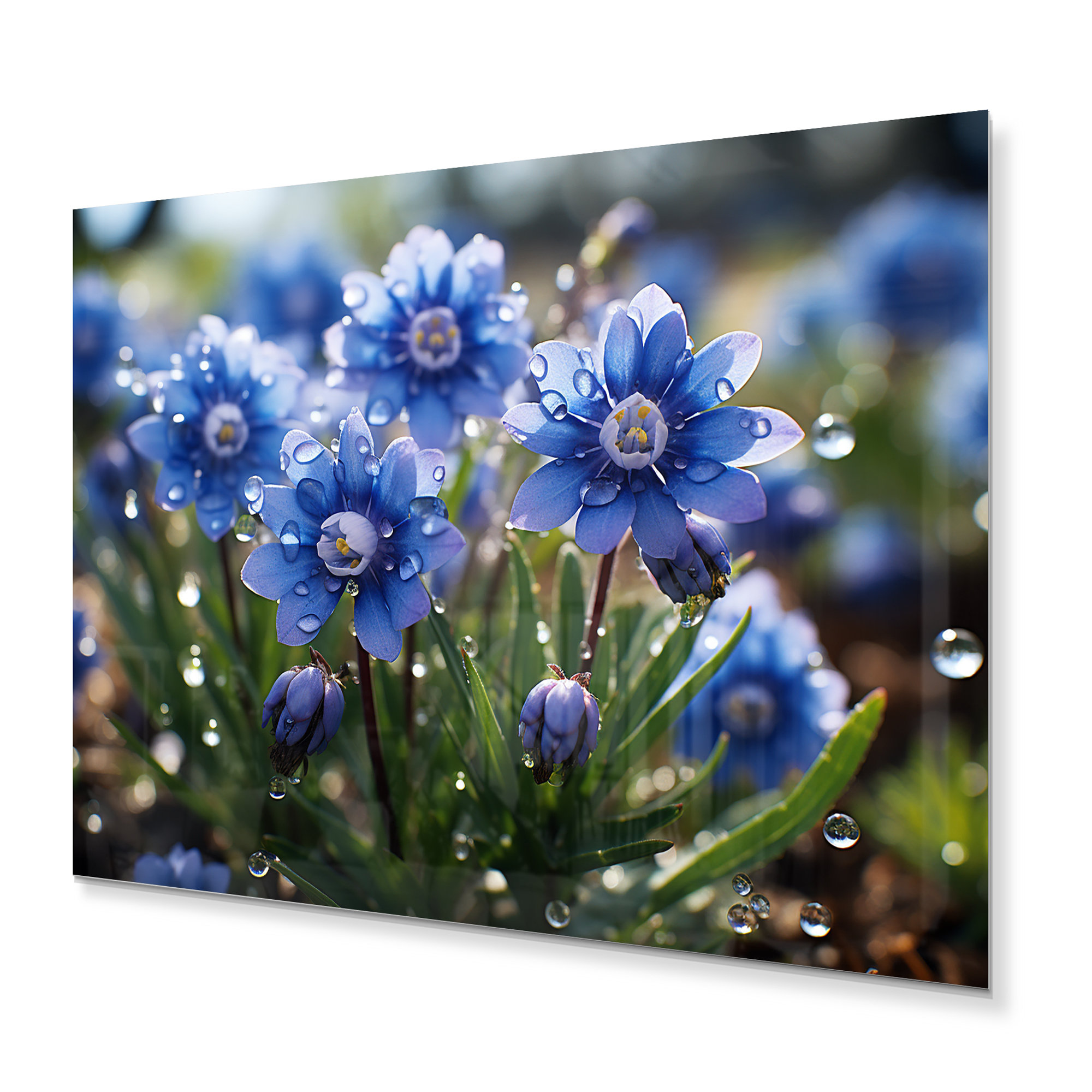Winston Porter Blue Bonnets Field Photo VI - Floral Metal Wall Art ...