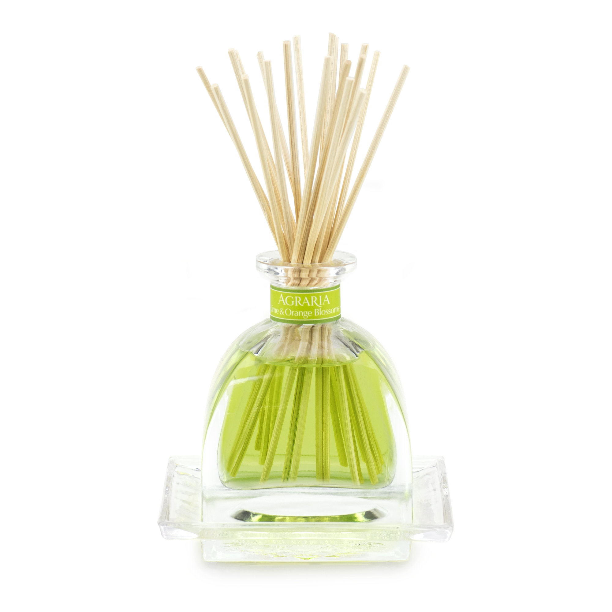 Agraria Airessence Lime and Orange | Wayfair