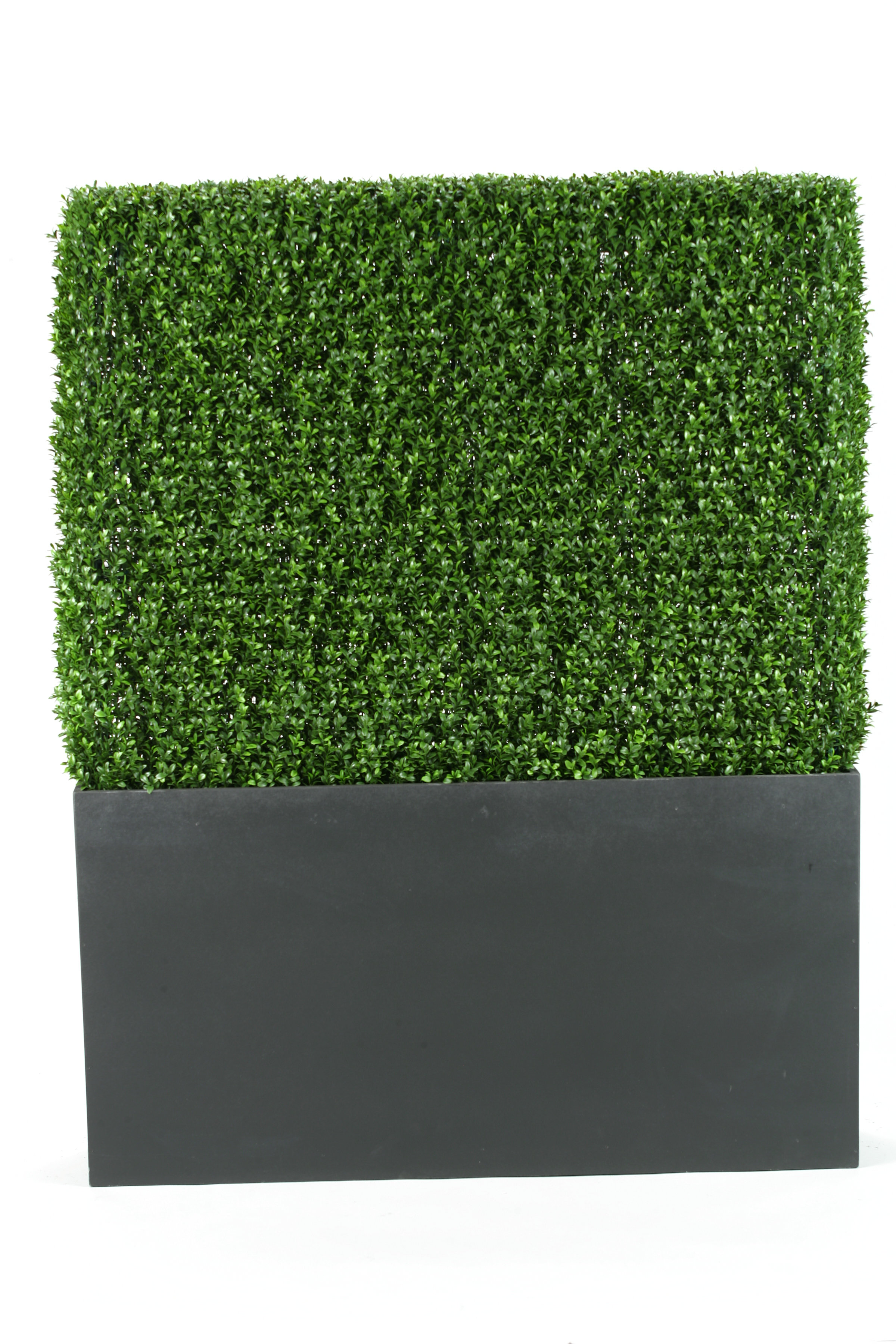 D & W Silks Indoor Outdoor Boxwood Hedge In Rectangle Planter | Perigold