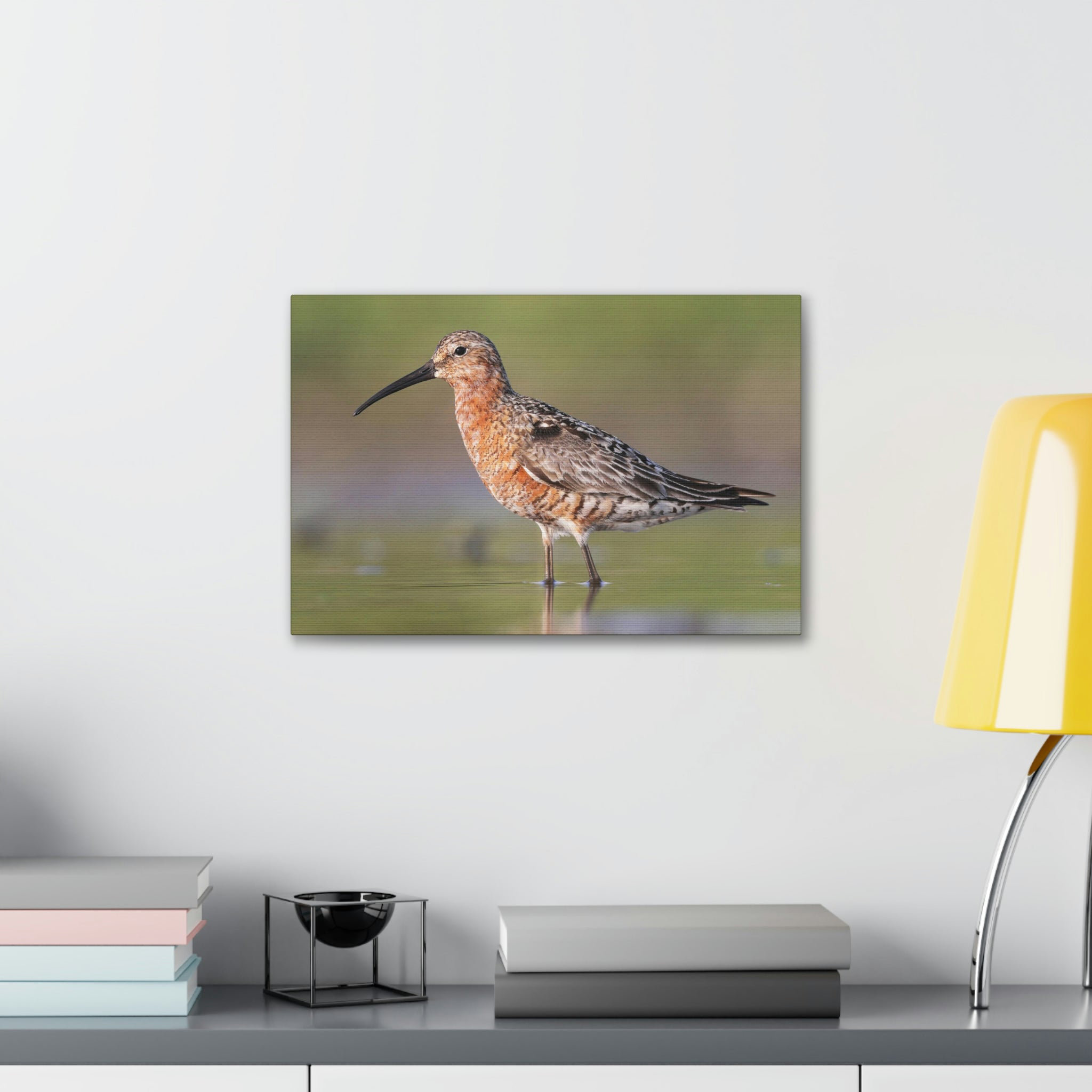Latitude Run® Sandpiper Hunting Sandpiper on Hunt Print Animal Wall Art ...