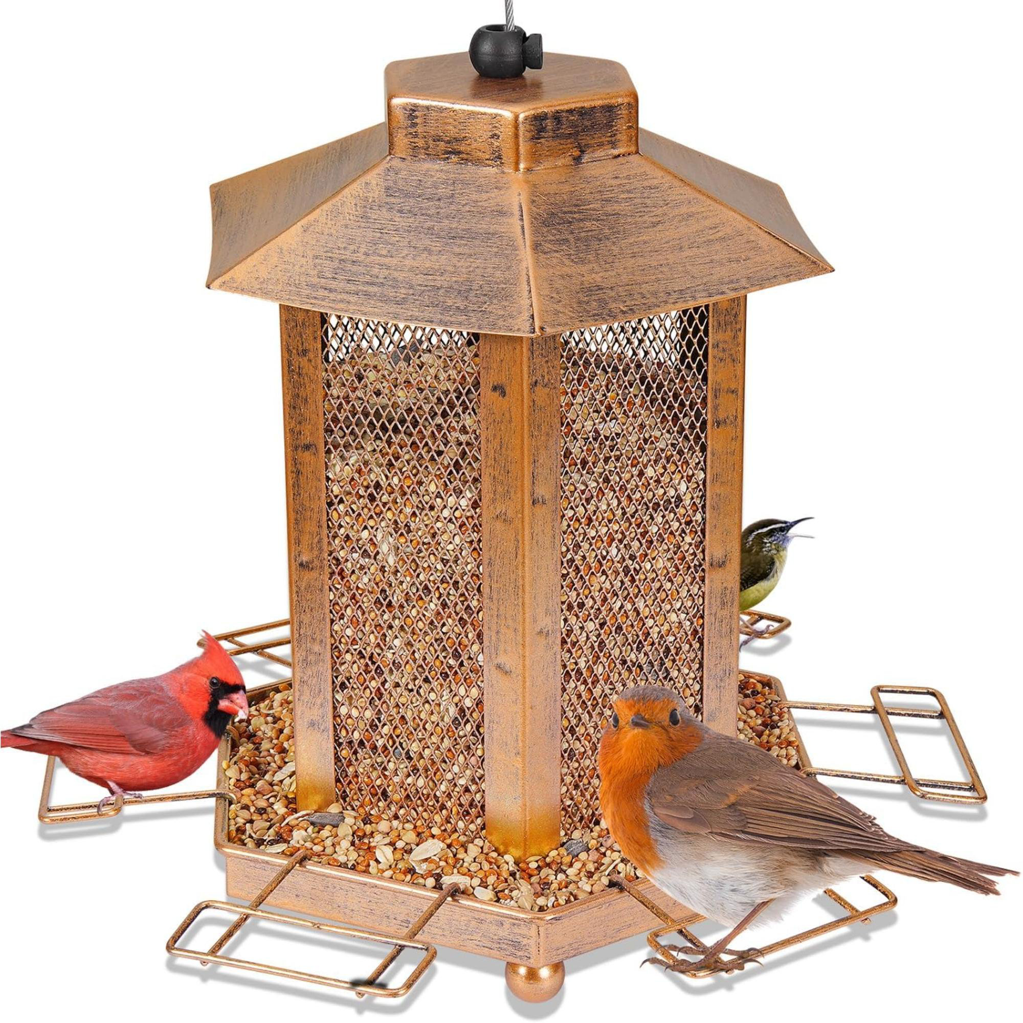 Alcott Hill Lantern-shaped Metal Bird Feeder For Outdoor Hanging ...