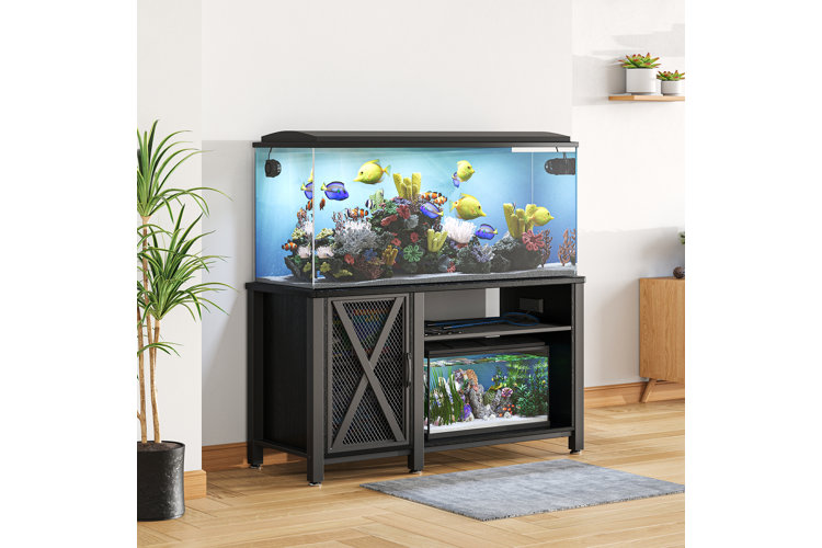 Fish Tank Sizes & Types: How to Choose the Right Aquarium | Wayfair
