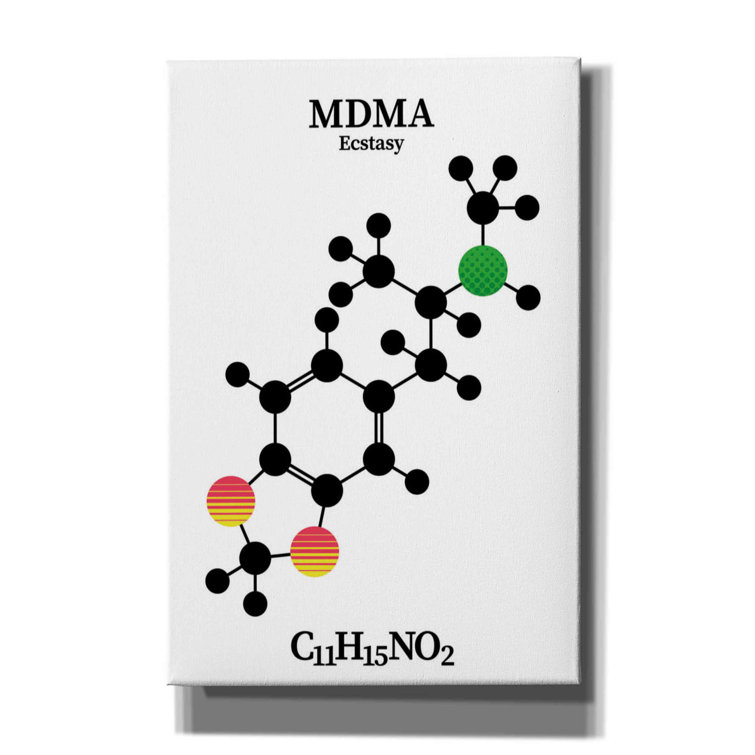 Trinx MDMA Molecule On Canvas by Maxim Print | Wayfair
