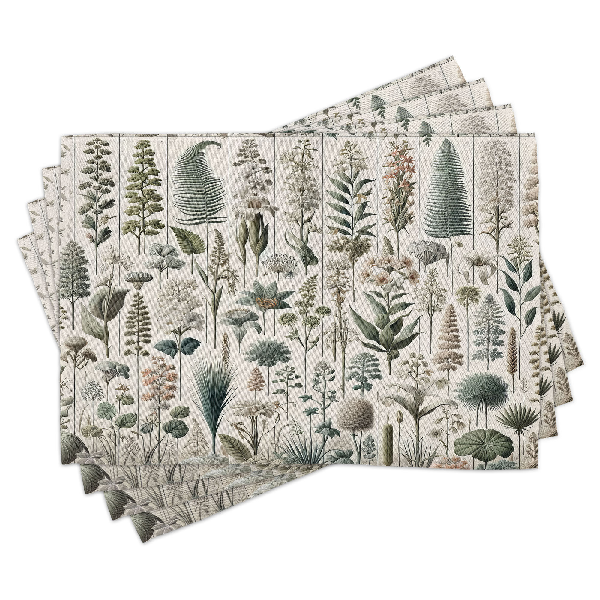 Ambesonne Neutral Place Mats Set of 4 Botanical Illustration Art ...