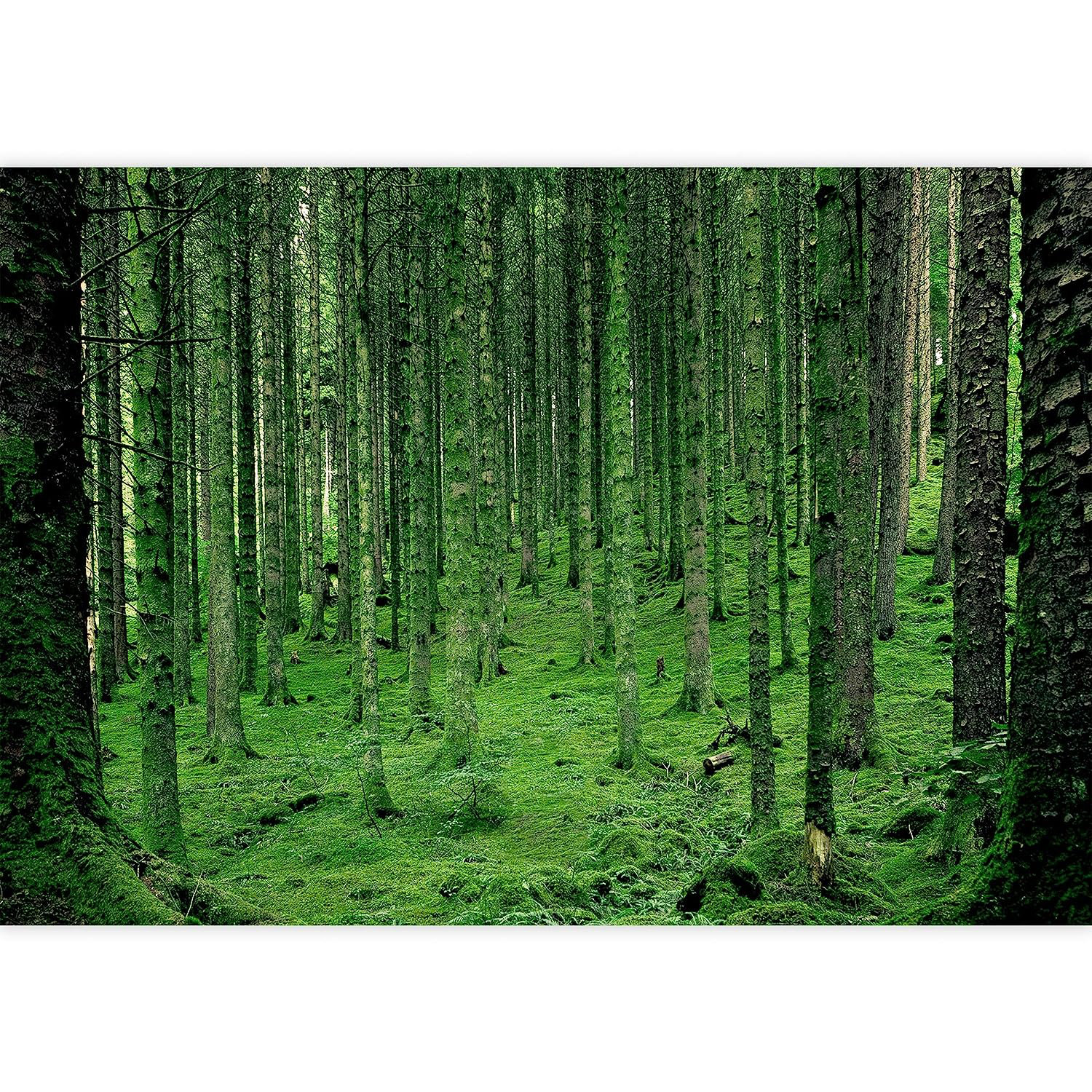 IDEA4WALL Spring Summer Neon Green Forest Trees - Wayfair Canada