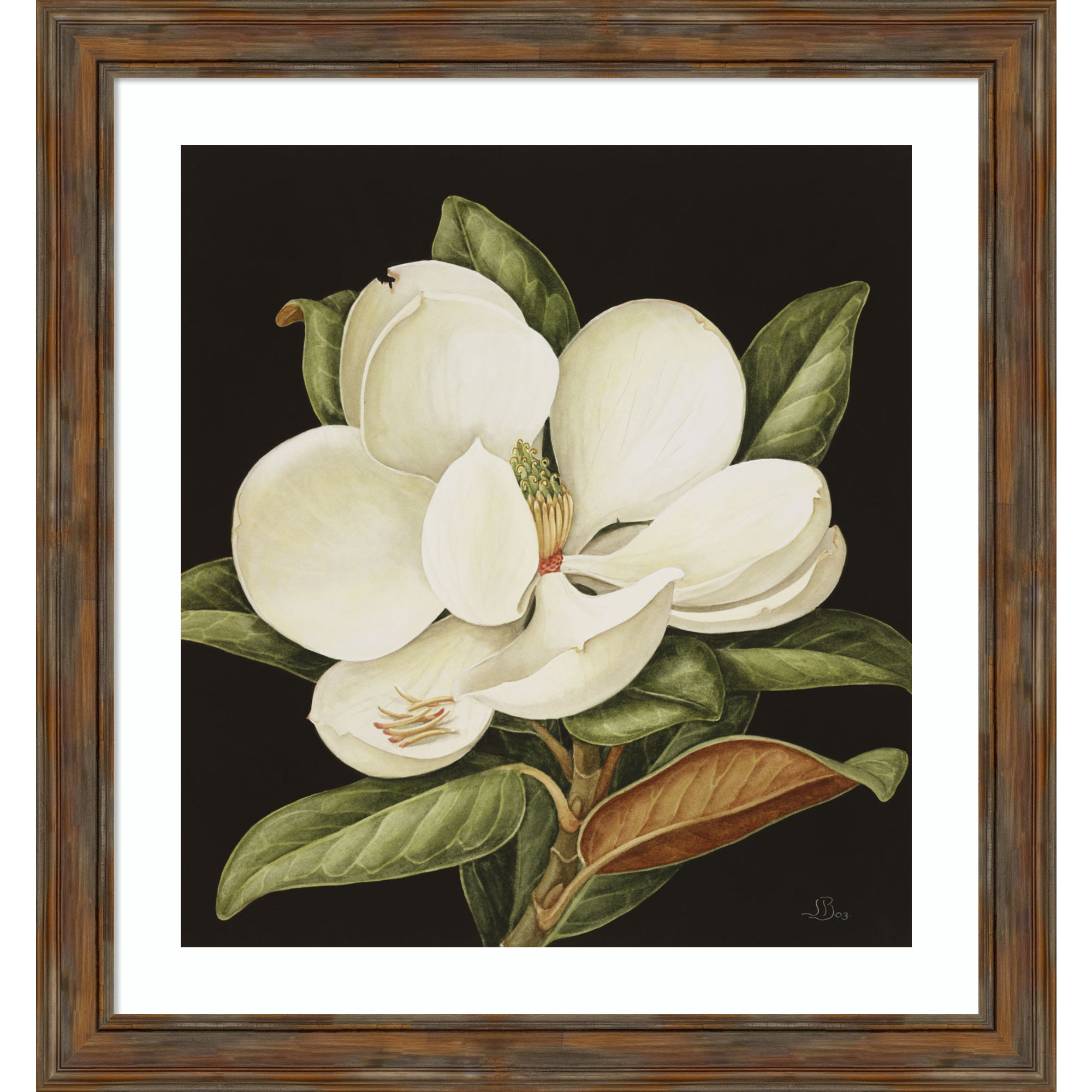 Wildon Home® Magnolia Grandiflora 2003 by Jenny Barron Solid Wood ...