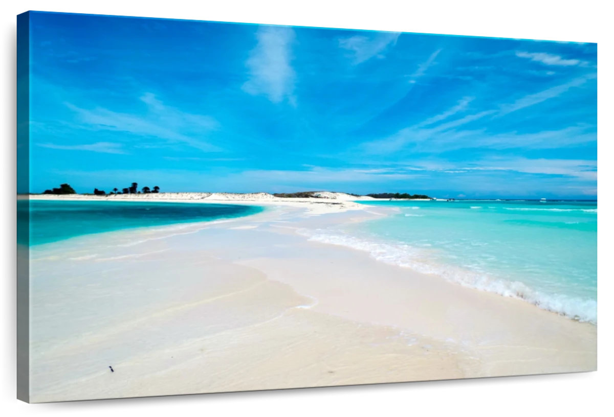 Elephant Stock Venezuela Cayo De Agua Beach | Wayfair