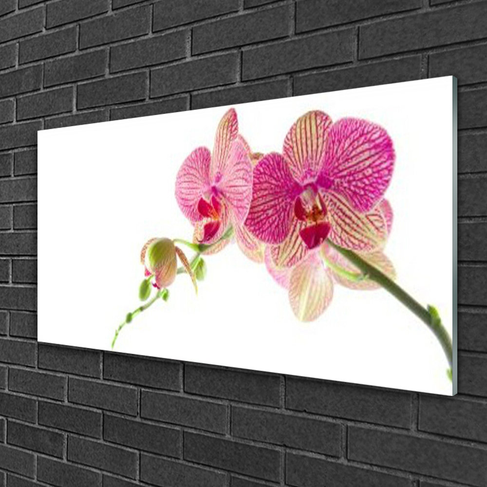 Brayden Studio Floral Flowers - Unframed Photograph on Glass | Wayfair.ie