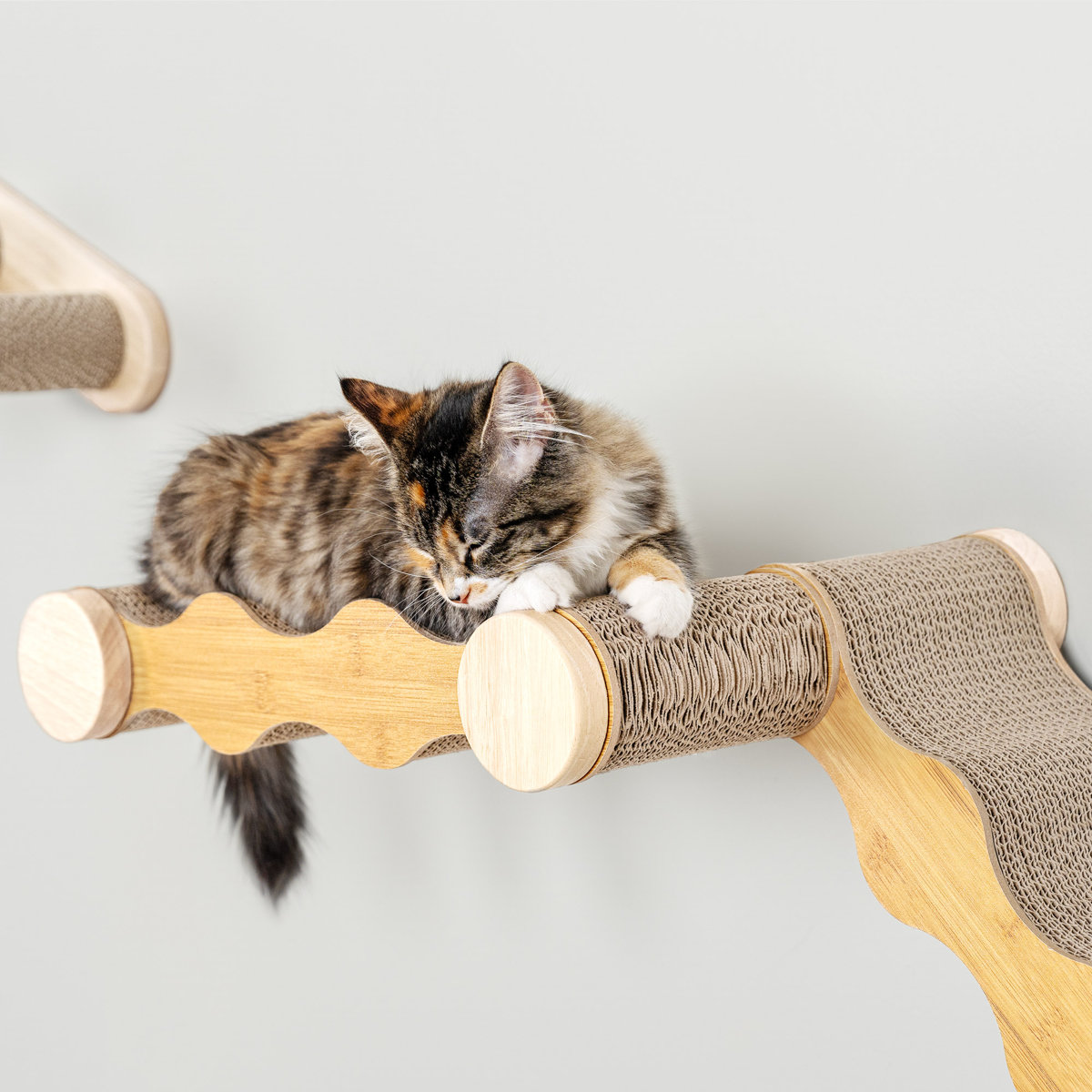 FurHaven Ascentials by FurHaven Wave Cat Ramp (60”), Wall-Mounted ...