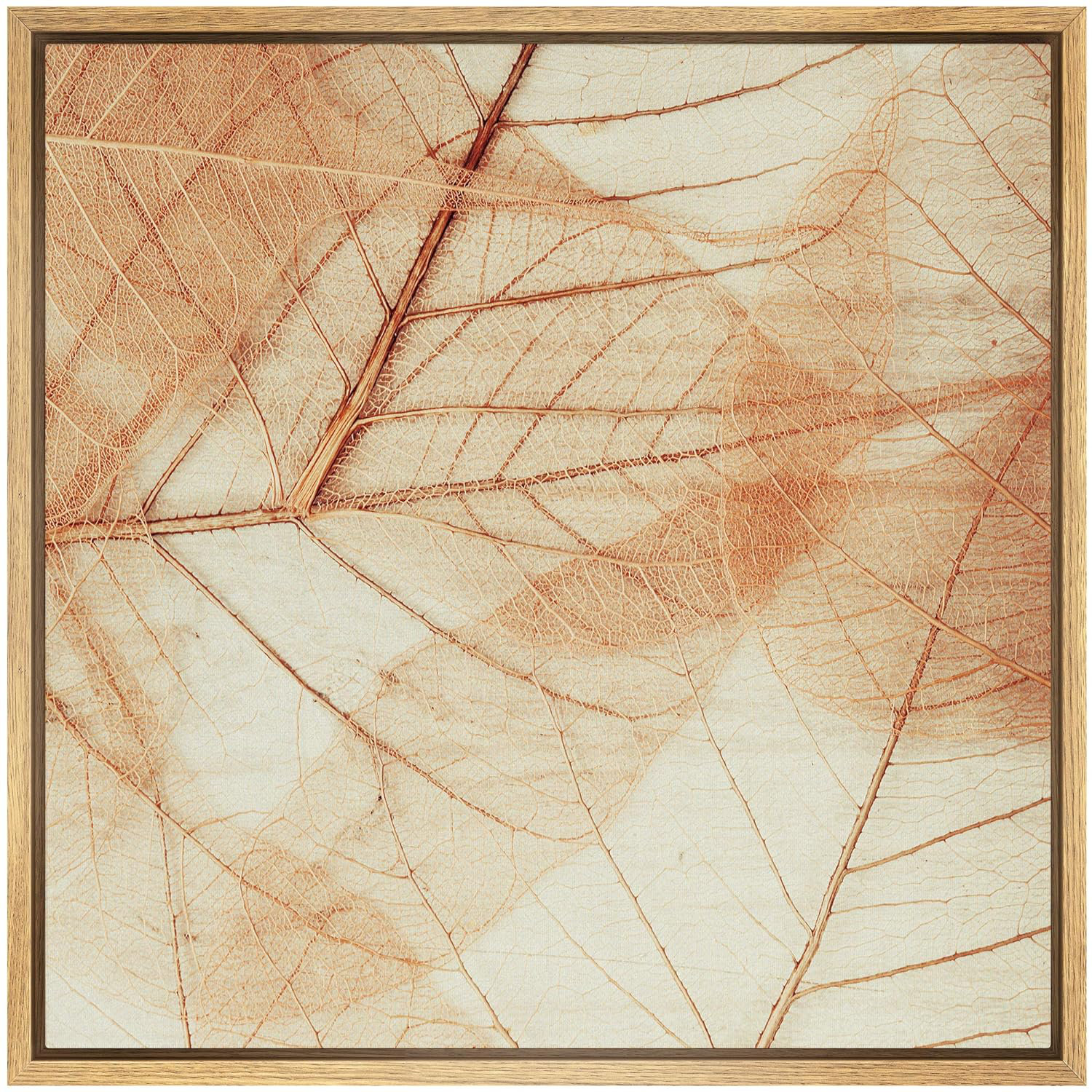 wall26 Light Brown Transparent Leaf Collage Nature Plants Photography ...