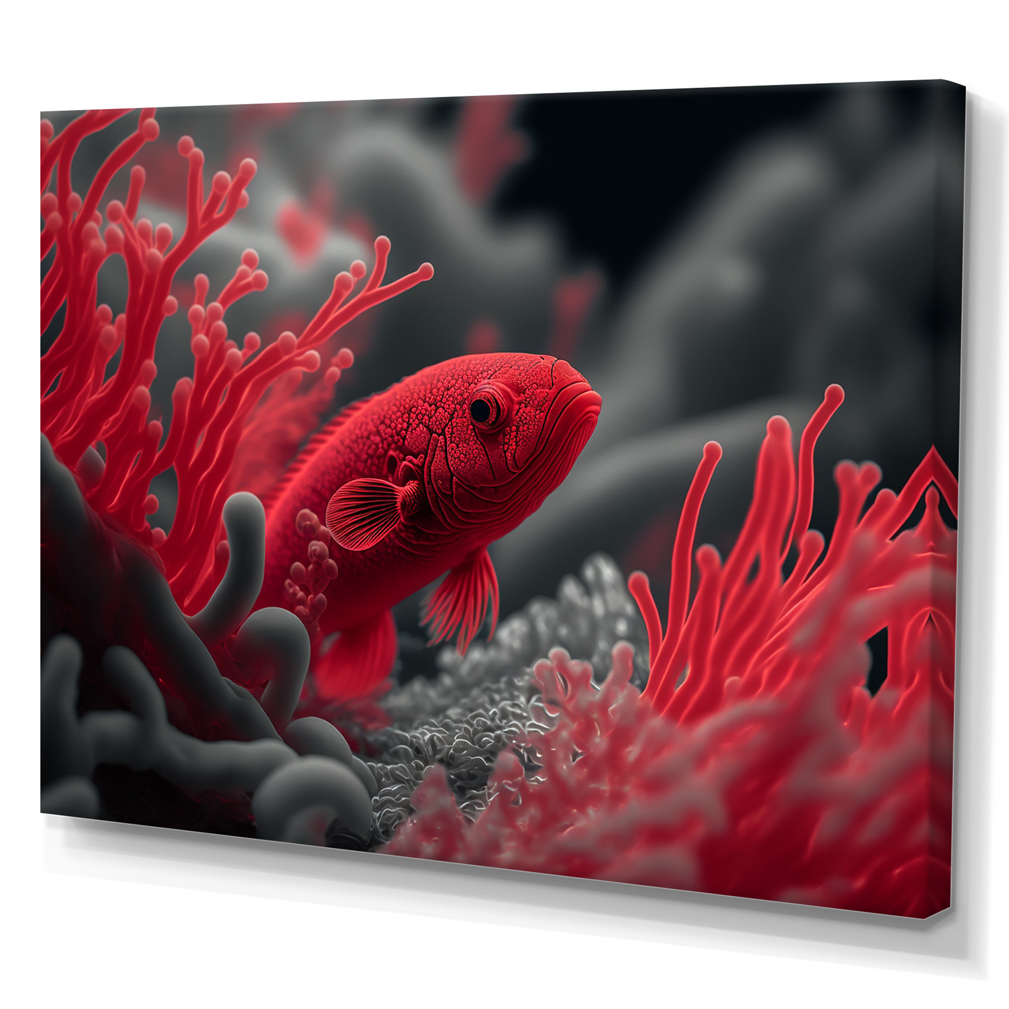 Dovecove Muneef Black and Red Tropical Fish VI - Print | Wayfair