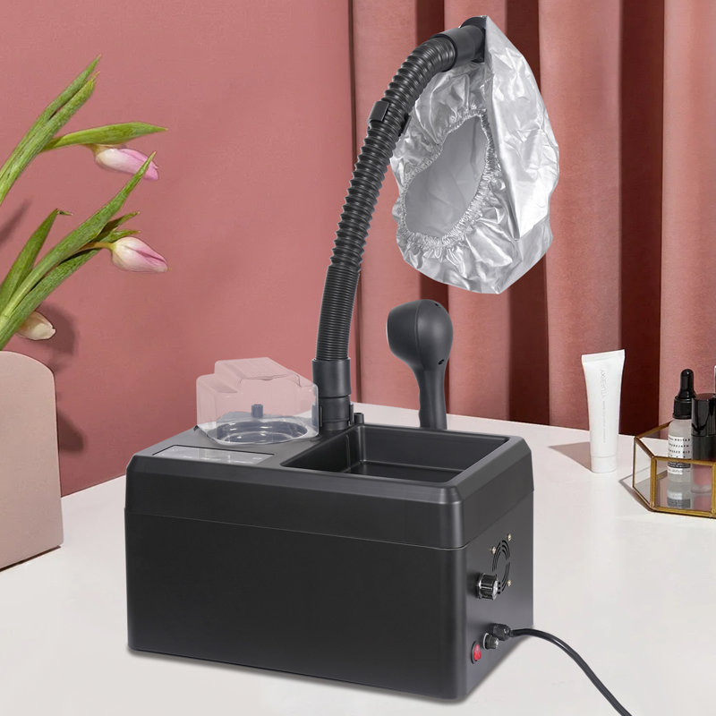 YXSUN 1750 Watt Hair Steamer Machine | Wayfair