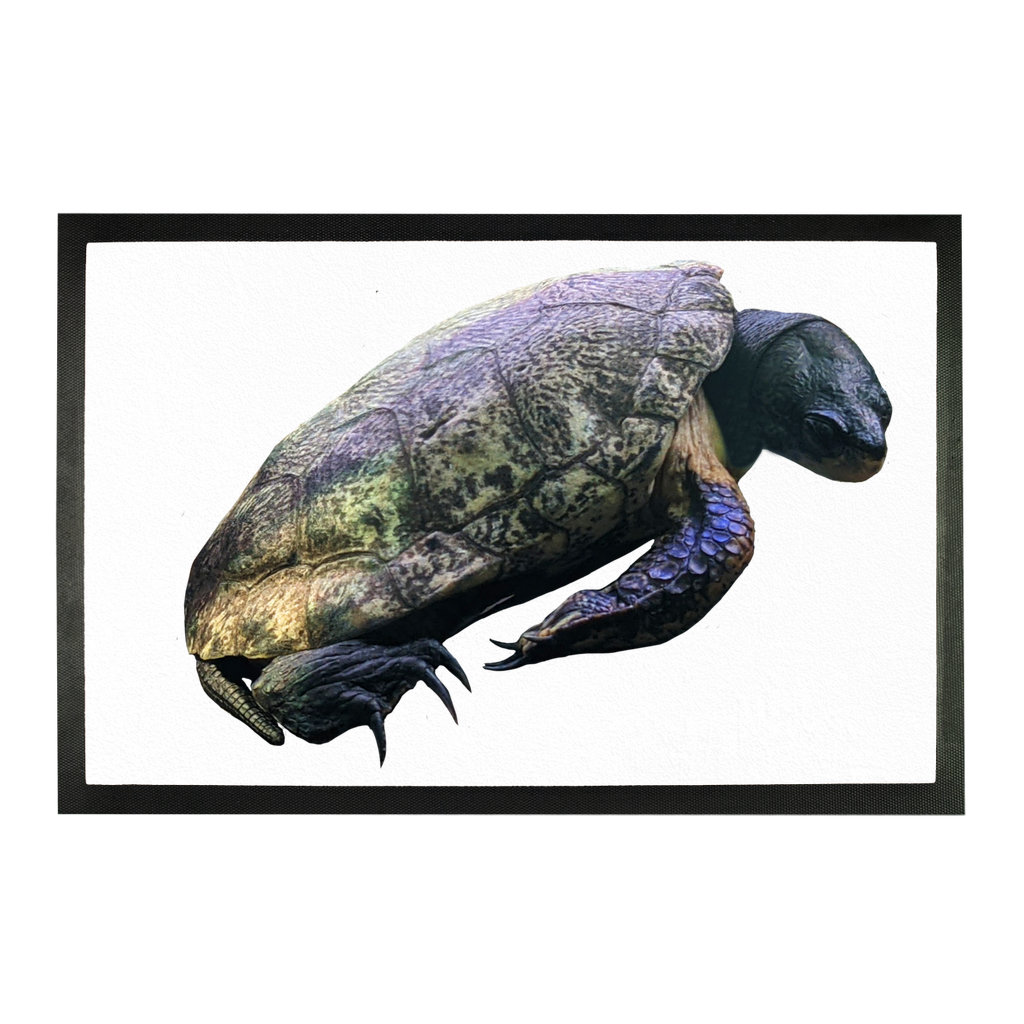 East Urban Home Turtle2 Sublimation Doormat - Wayfair Canada