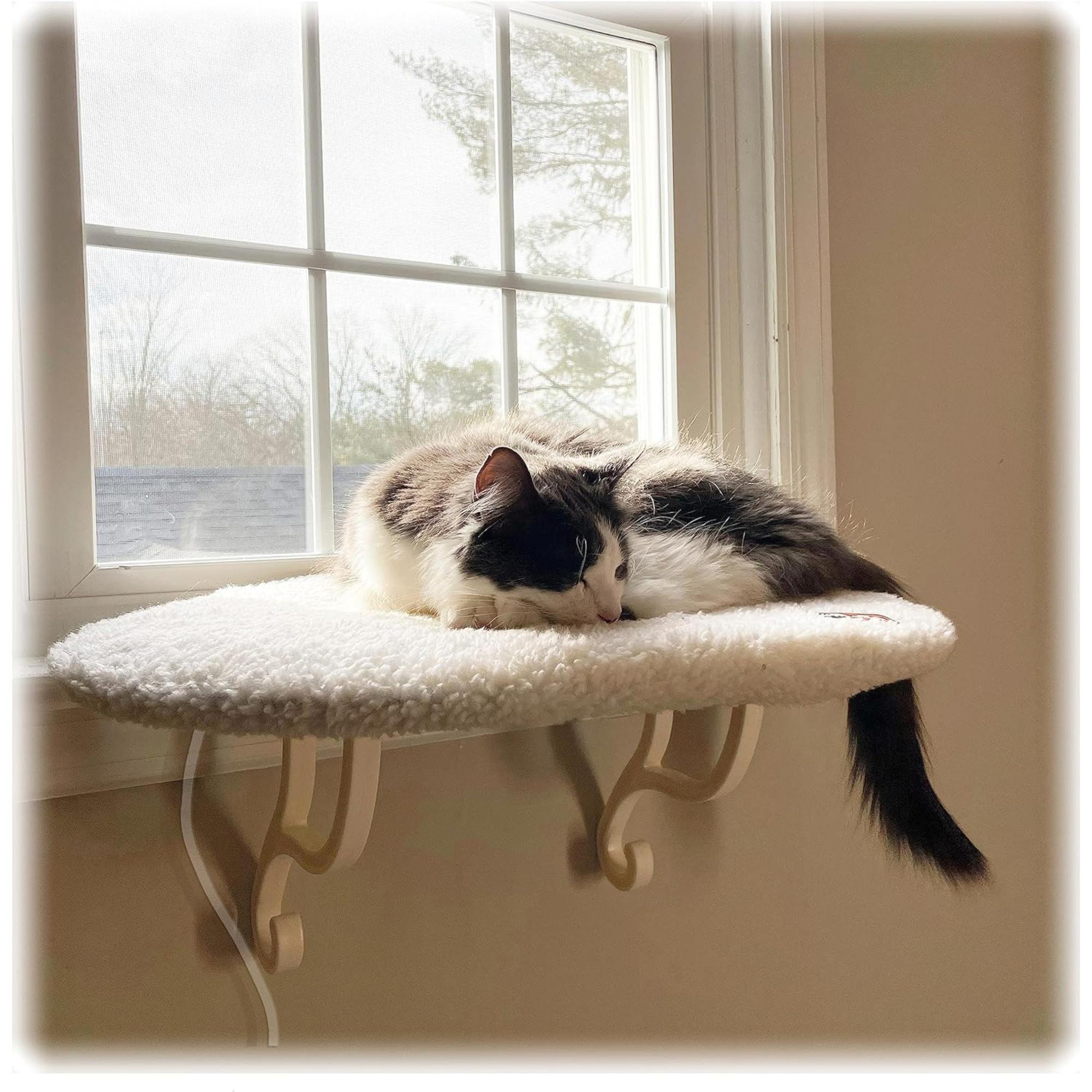 Textiles Hub Sill Window Sill Cat Perch, Cat Window Perch For Large ...