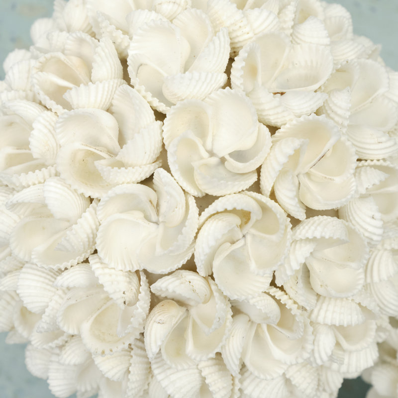 Red Barrel Studio® Everth 3 Piece Shell Balls Sculpture Set | Wayfair