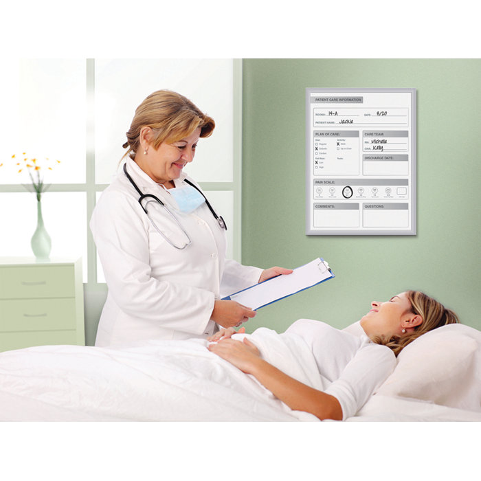 Ghent Patient Room Wall Mounted Dry Erase Board | Wayfair