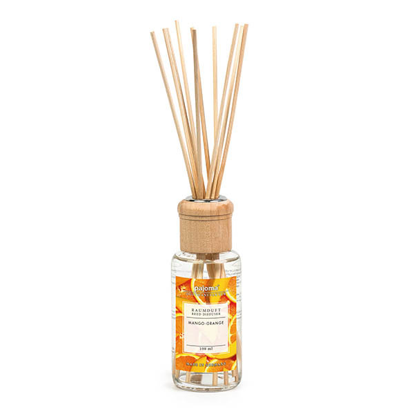 Symple Stuff Mango-Orange 100ml Reed Diffuser | Wayfair.co.uk