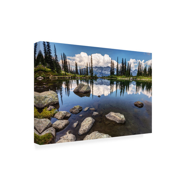 Millwood Pines All-Weather Canvas Landscape & Nature Wall Decor | Wayfair
