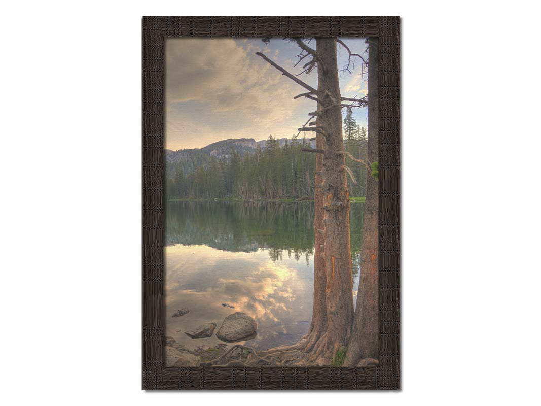 Loon Peak® Mamie Lake Trees by Kelly Wade. Paper Print - Mounted ...