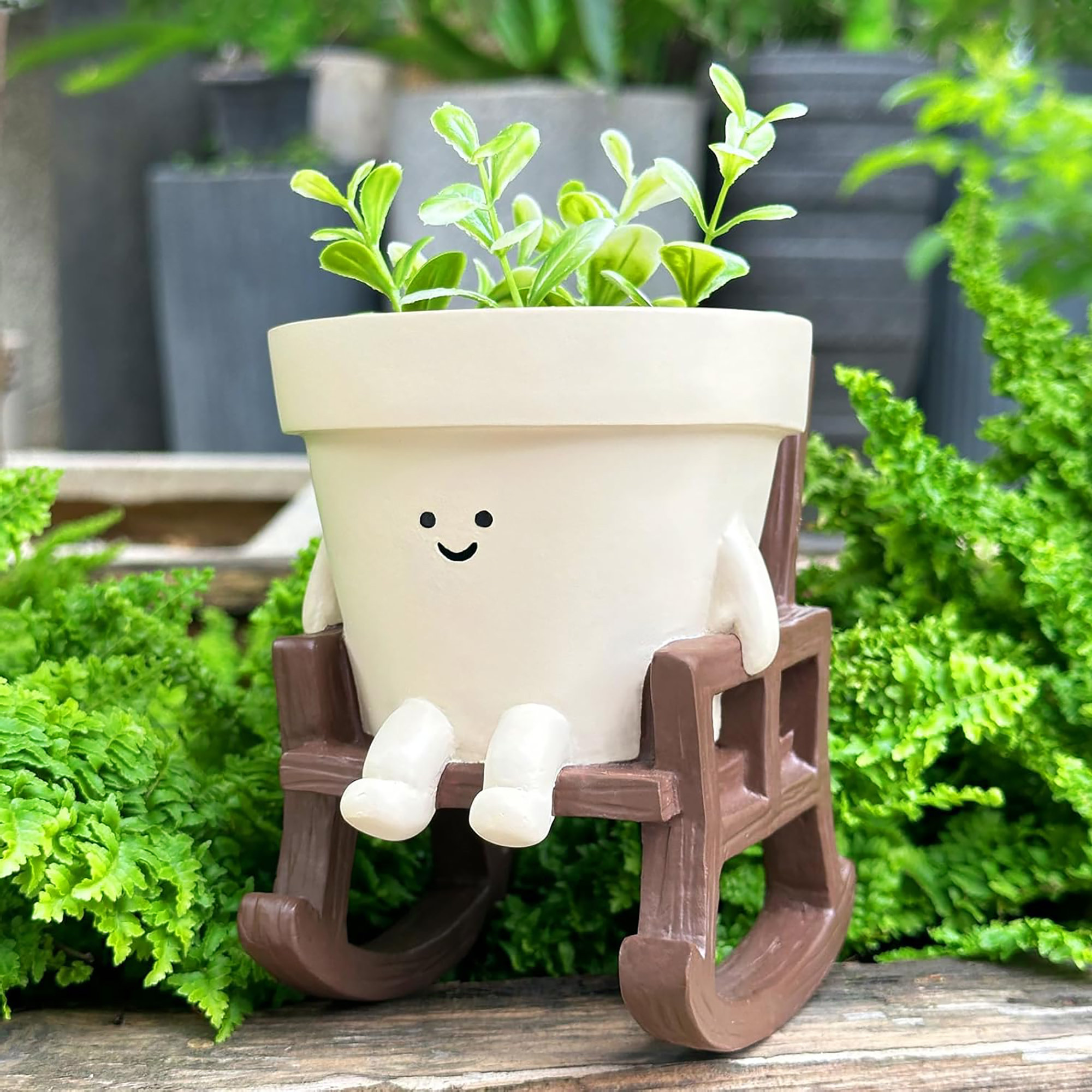 Dakota Fields Mini Smiley Face Planter with Drainage Hole: Rocking ...
