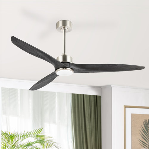 3 Blade Ceiling Fans With Lights You'll Love | Wayfair