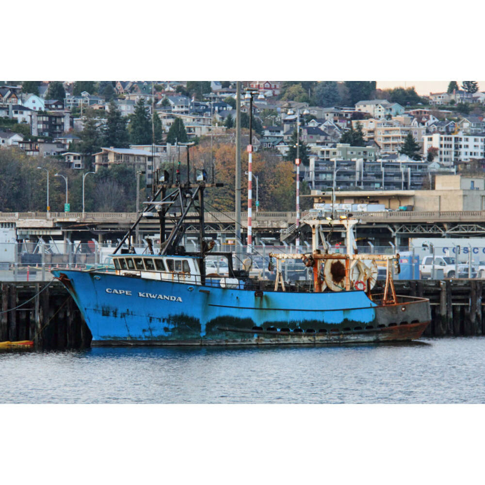 Old Modern Handicrafts USCGC Cape Kiwanda (WPB-95329) Ship Model | Wayfair