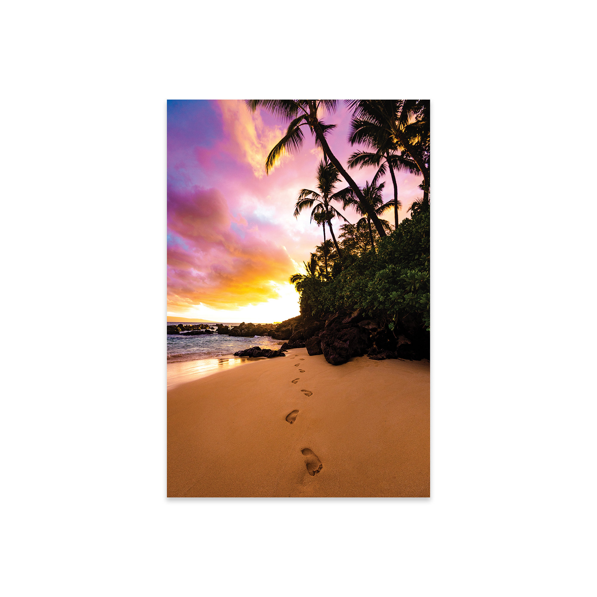 Highland Dunes Footprints In The Sand Print On Acrylic Glass - Wayfair ...