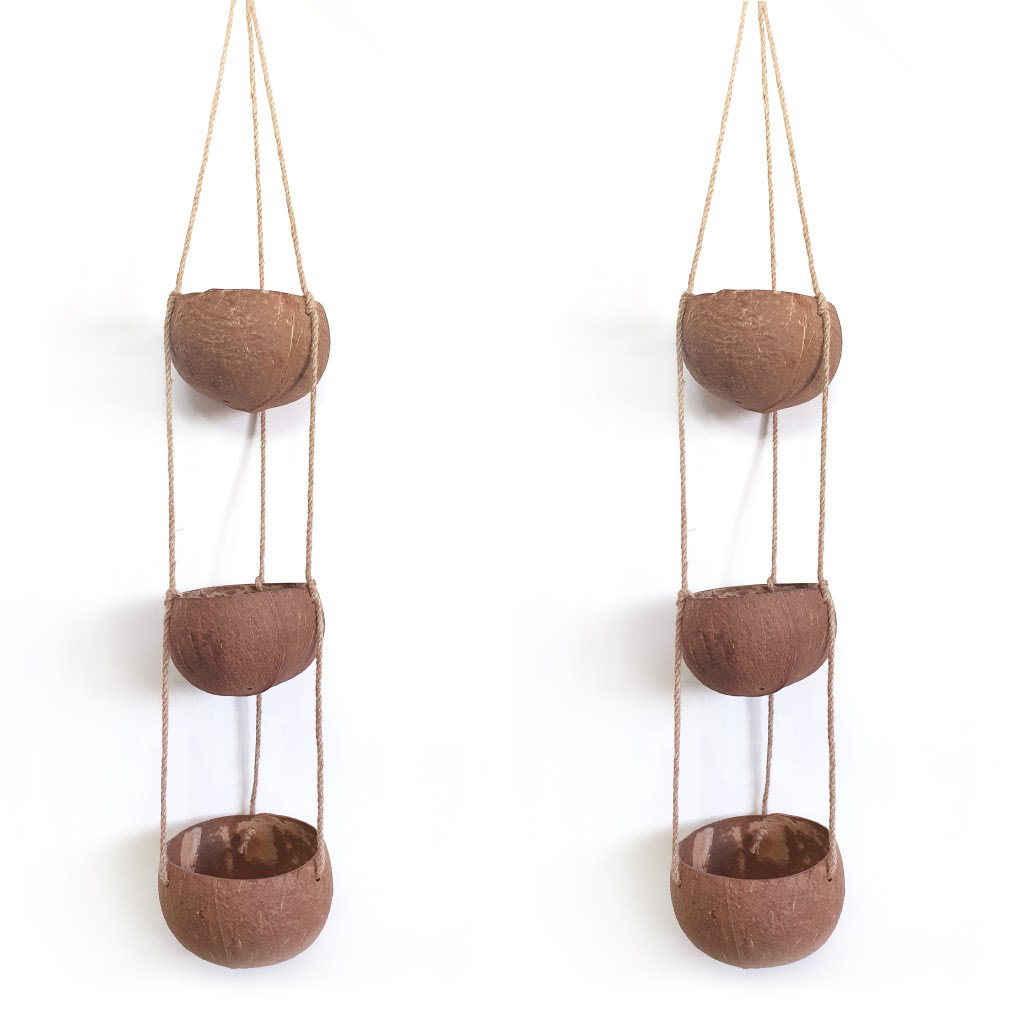 Rainforest Bowls Pot suspendu en bois - Wayfair Canada