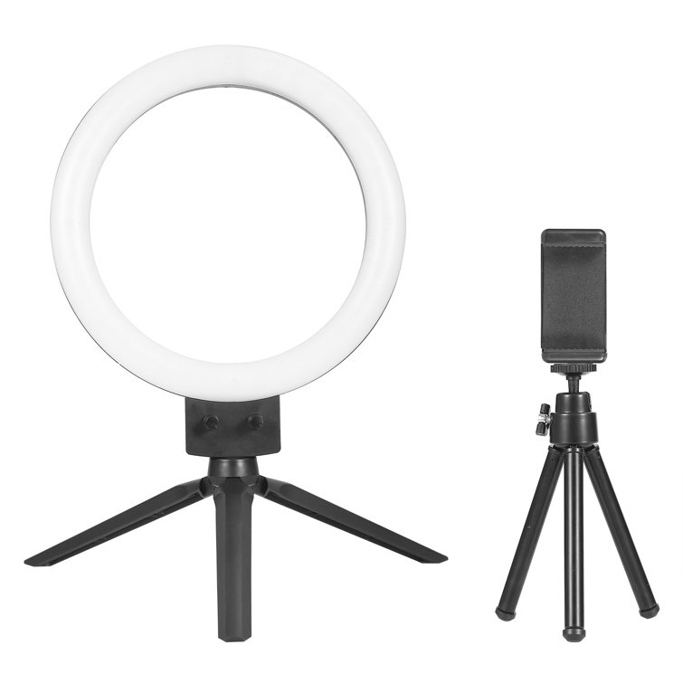 Edge Collections Dimmable LED Ring Light | Wayfair