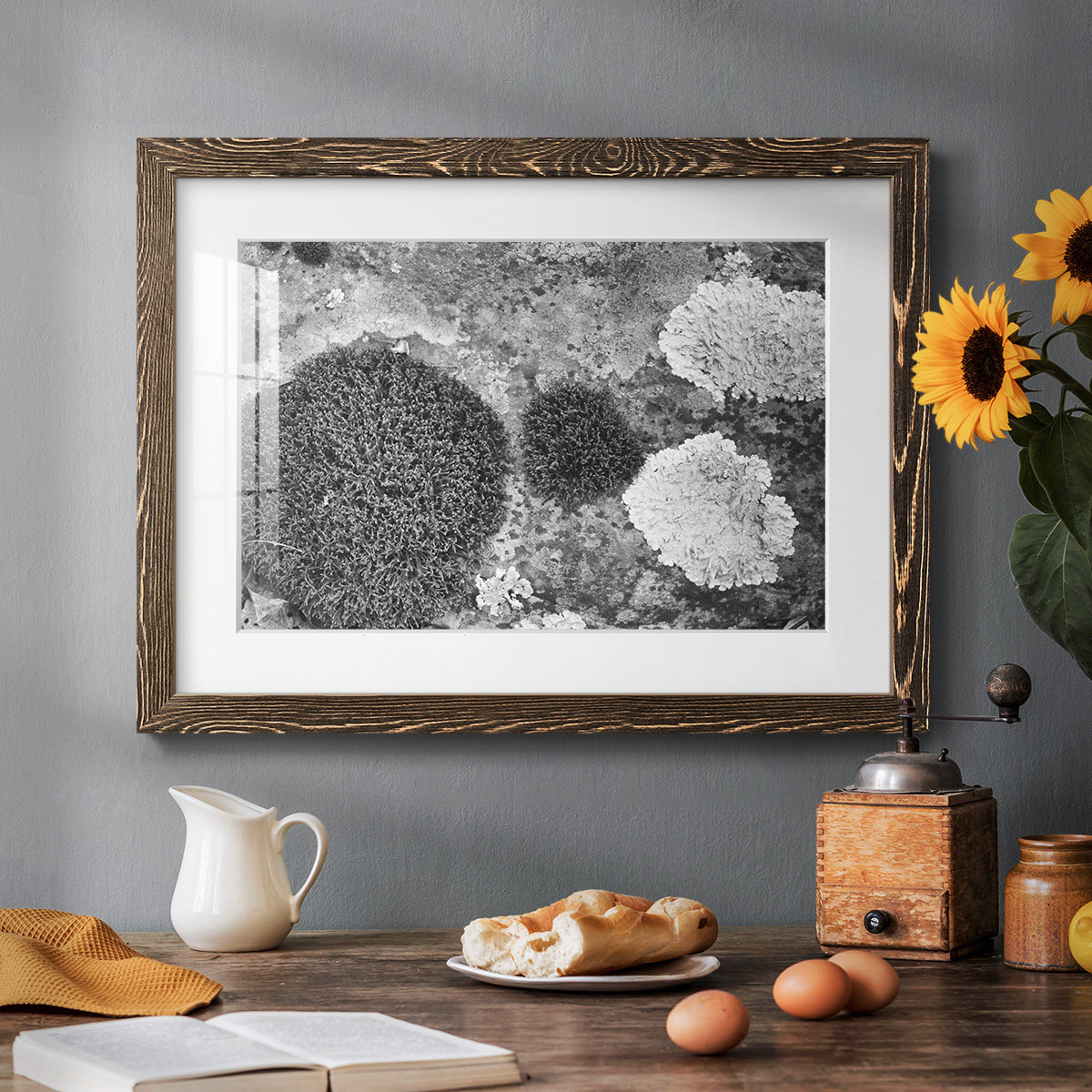 Red Barrel Studio® Found Textures XIX Framed On Paper Print | Wayfair