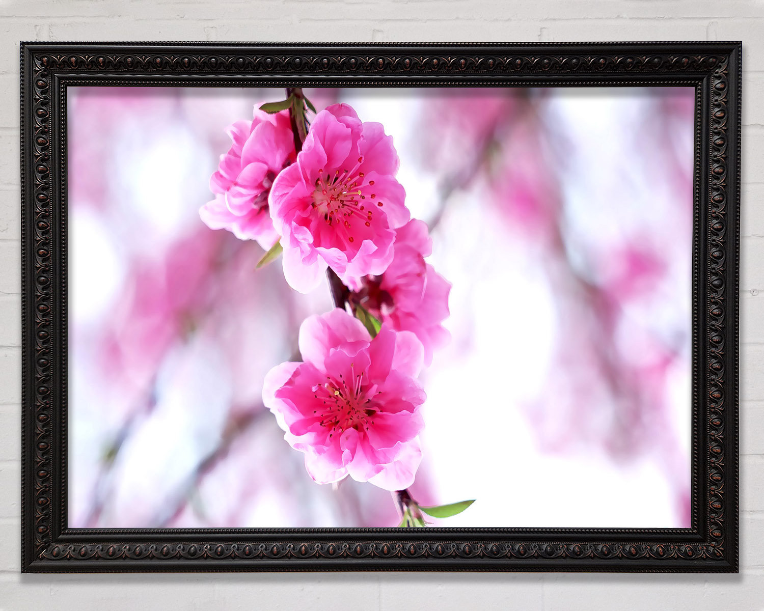 Bright Star Plum Blossoms Blooming - Print | Wayfair.co.uk