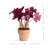 Wayfair.com - Online Home Store for Furniture, Decor, Outdoors & More