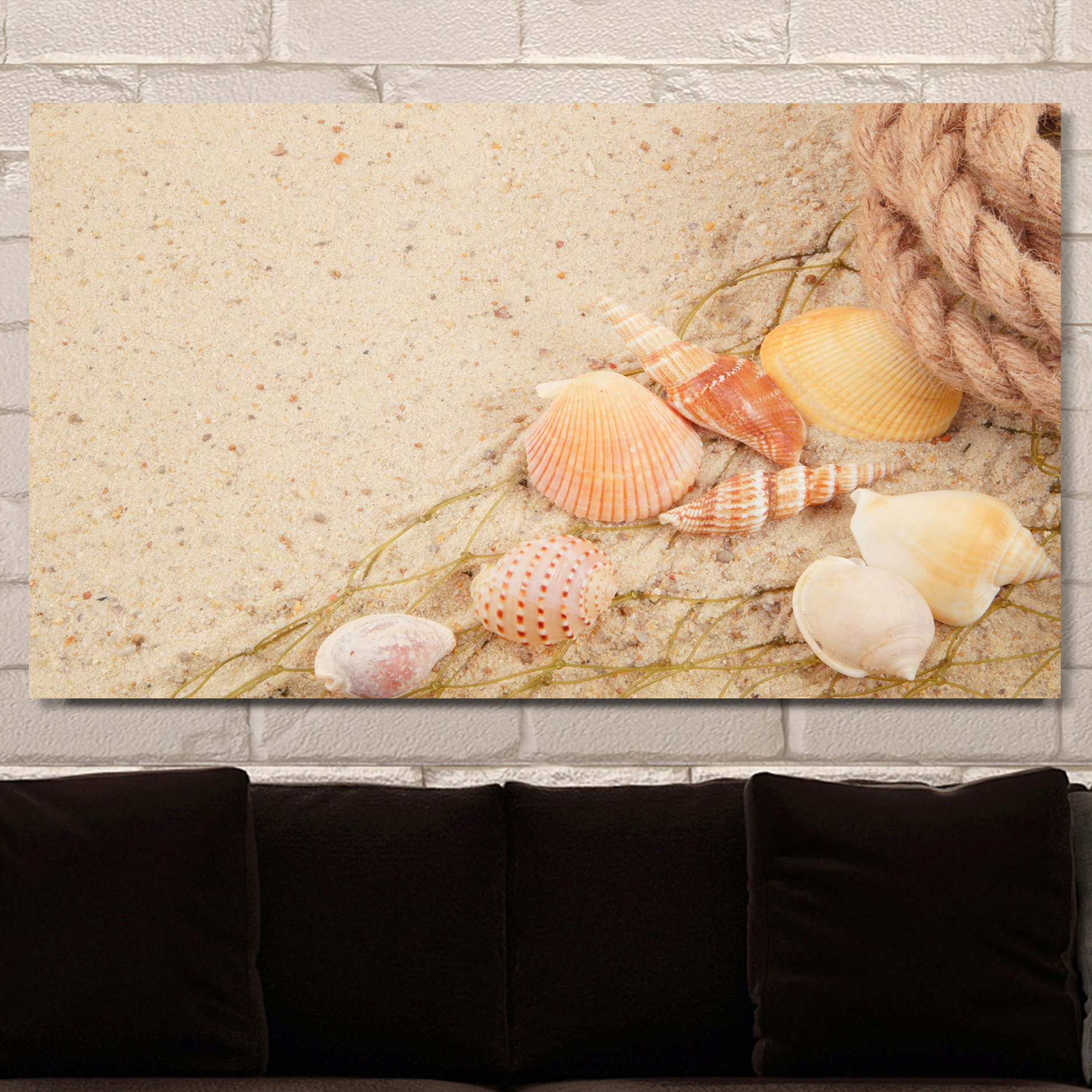 Picture Perfect International Sandy Shells - Wrapped Canvas Graphic Art ...