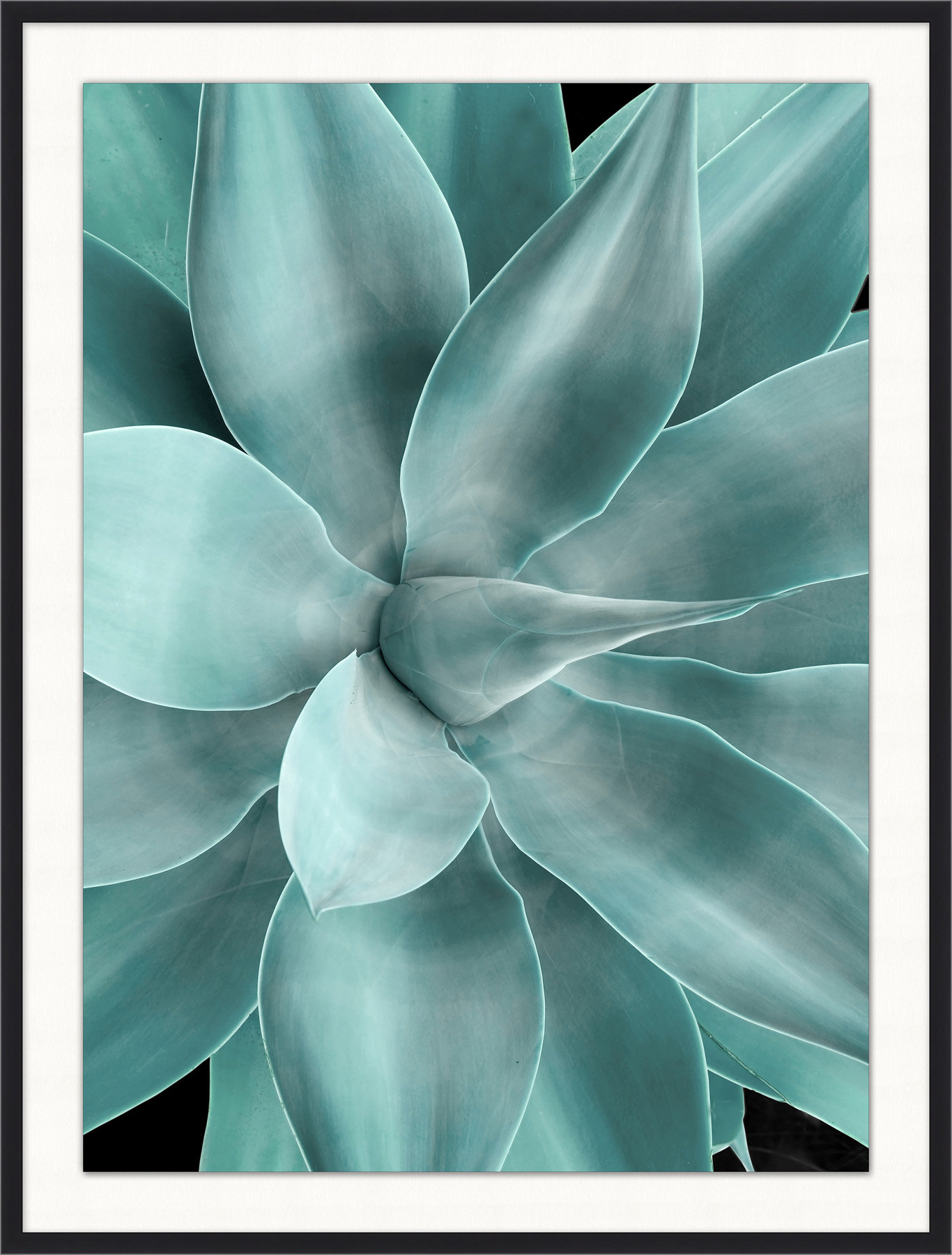 Wendover Art Group Bold Agave 2 - Picture Frame Photograph on Paper ...