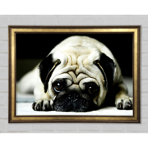 Ebern Designs Pug - Single Picture Frame Art Prints | Wayfair.co.uk
