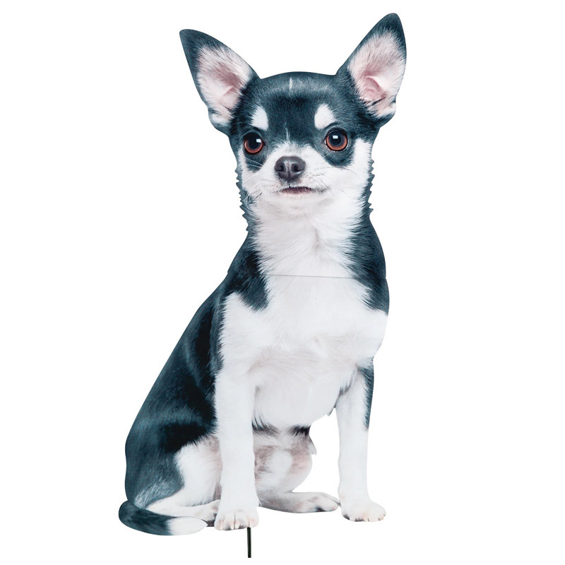 Gracie Oaks Realistic Chihuahua Outdoor Garden Stake | Wayfair