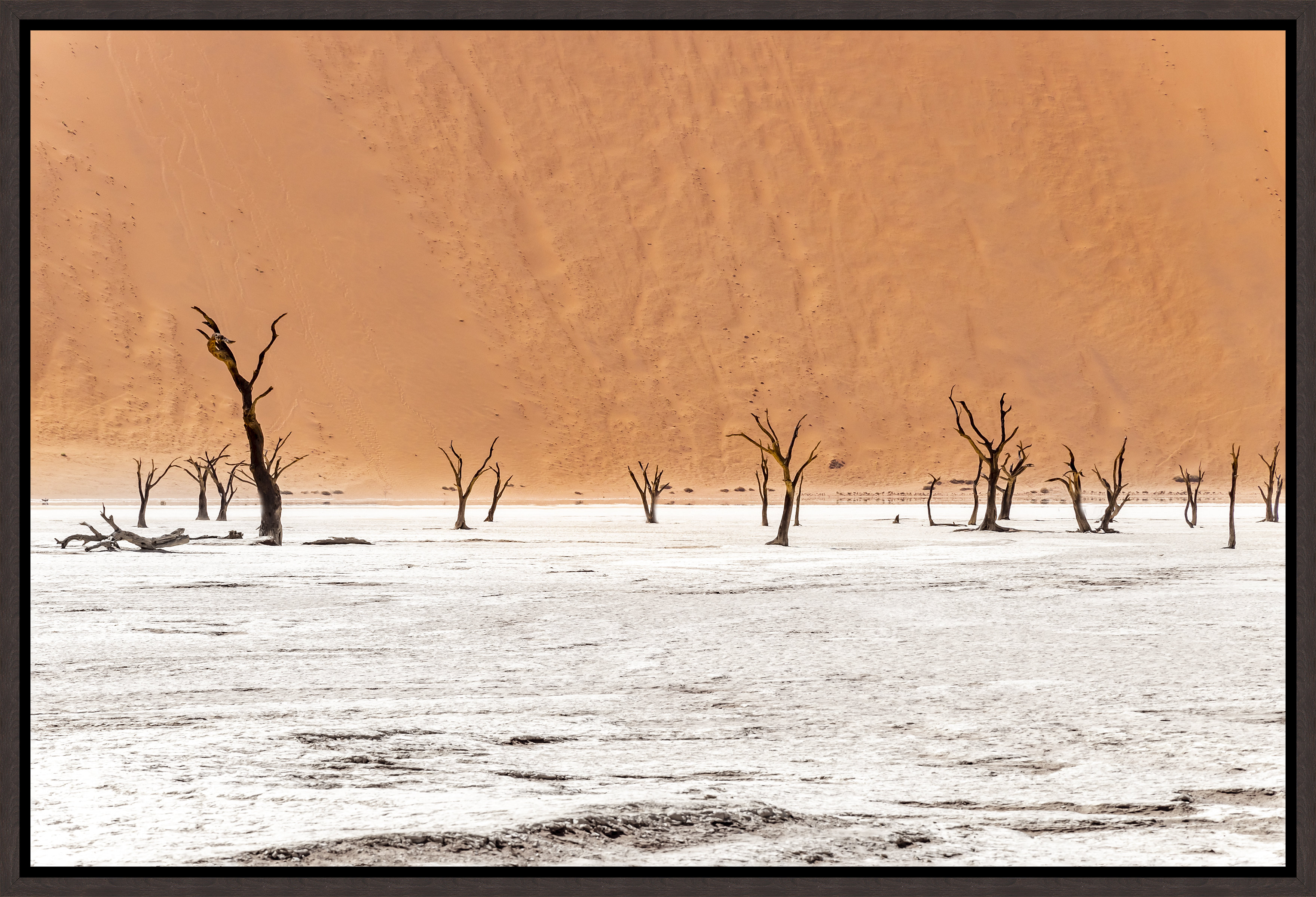 Chelsea Art Studio Namibian Skeleton Trees V by Richard Silver ...