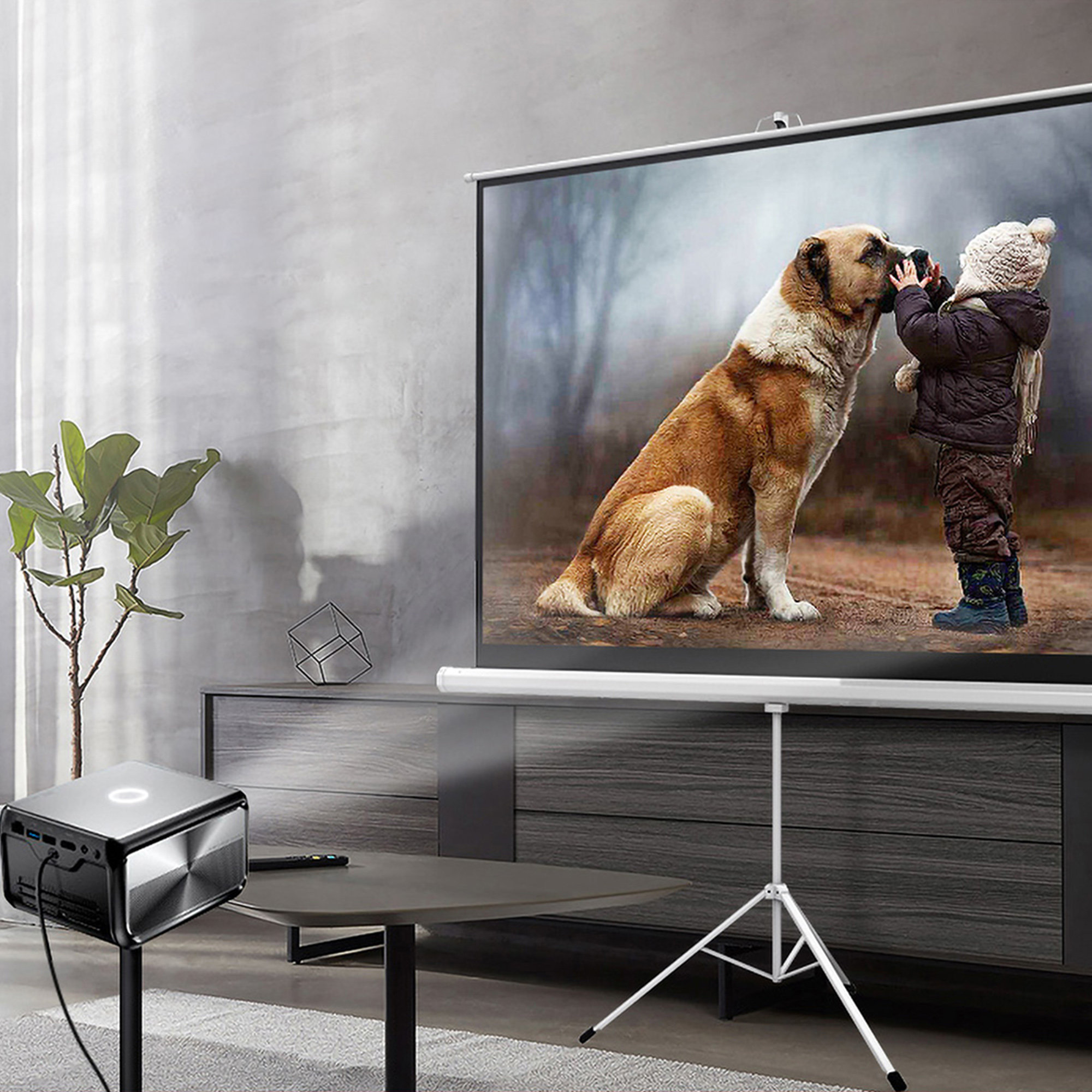 BestOffice White 49'' x 87'' Portable Tripod Projector Screen | Wayfair