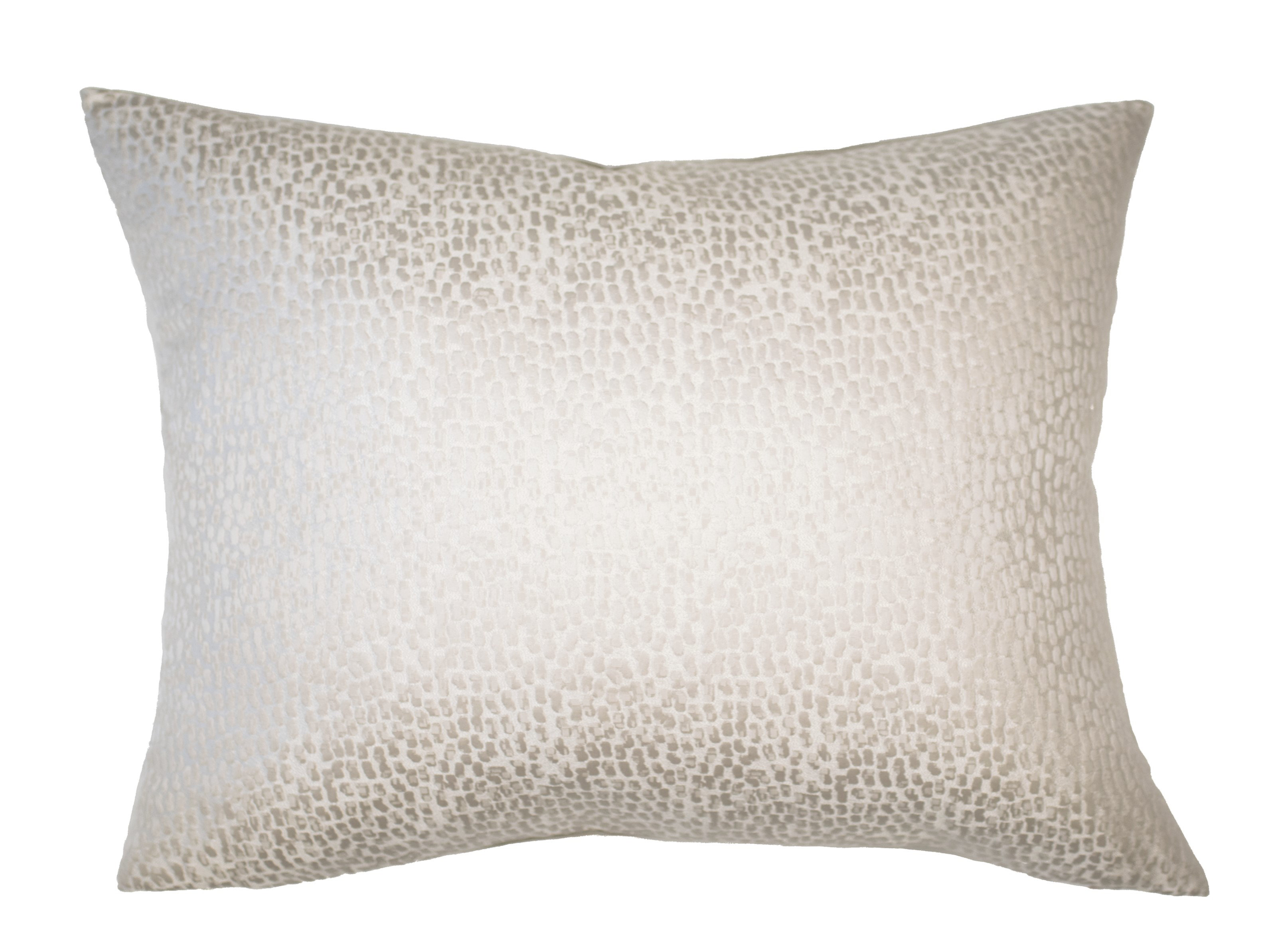 Daniel Design Studio Rectangular Pillow Cover and Insert | Wayfair