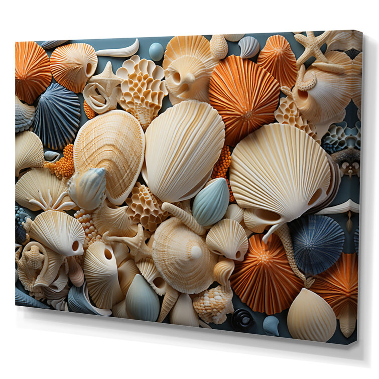 Rosecliff Heights Beach Seashell Collage Framed On Canvas Print | Wayfair
