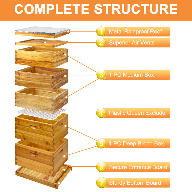 Millwood Pines Langstroth Beehive Wooden Box Kit With Waxed Boxes, 2 ...