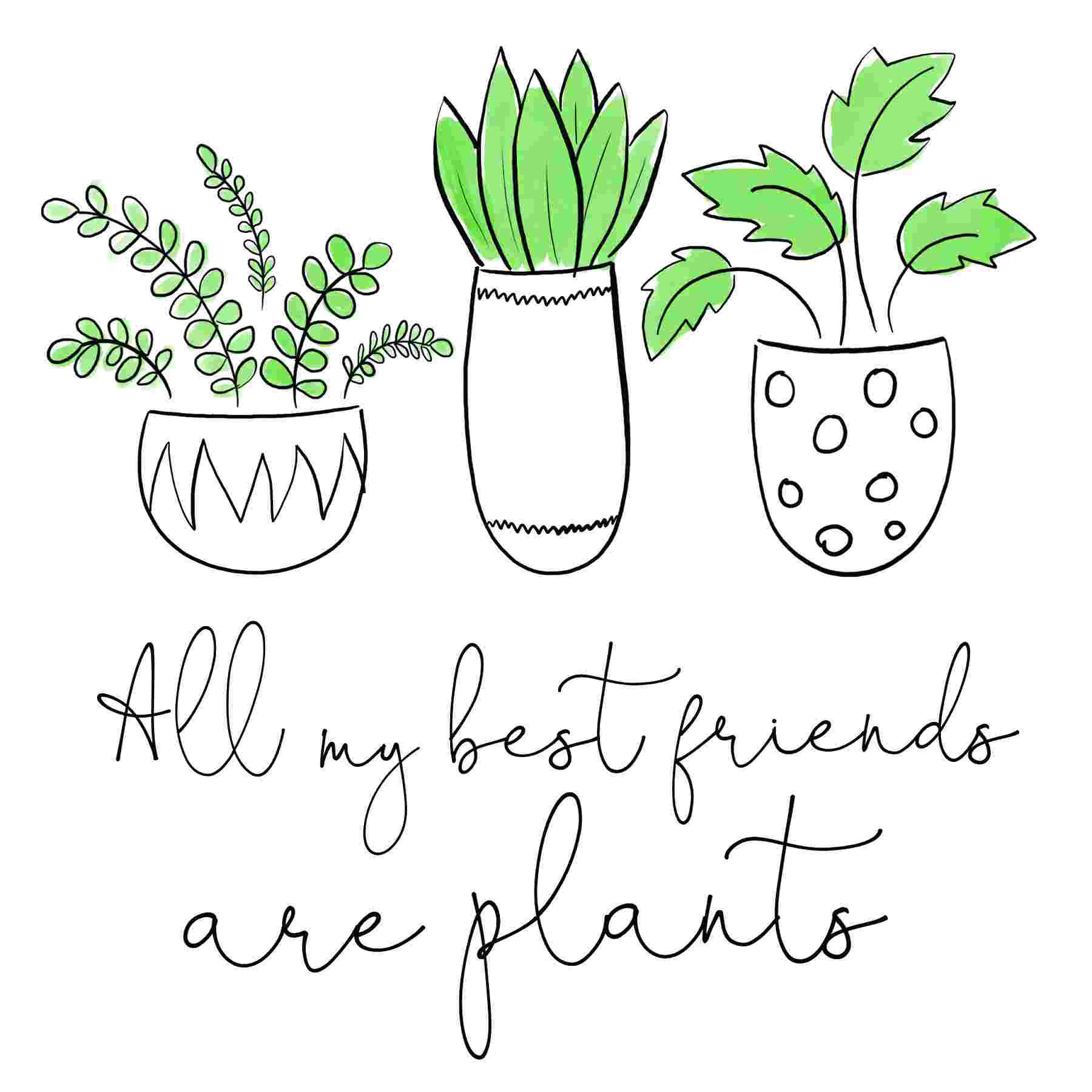 Trinx Best Friend Plants - Wrapped Canvas Graphic Art | Wayfair